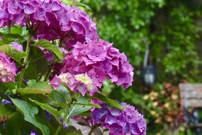 Changing landscape – Mud and Sparkles